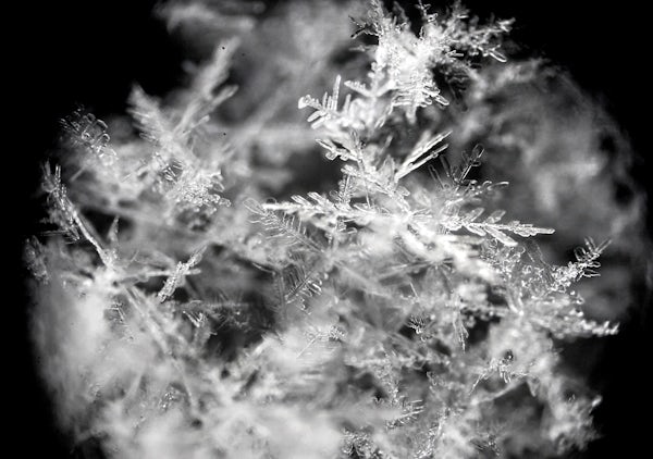 Cluster Algebras Network Science And Machine Learning Lims