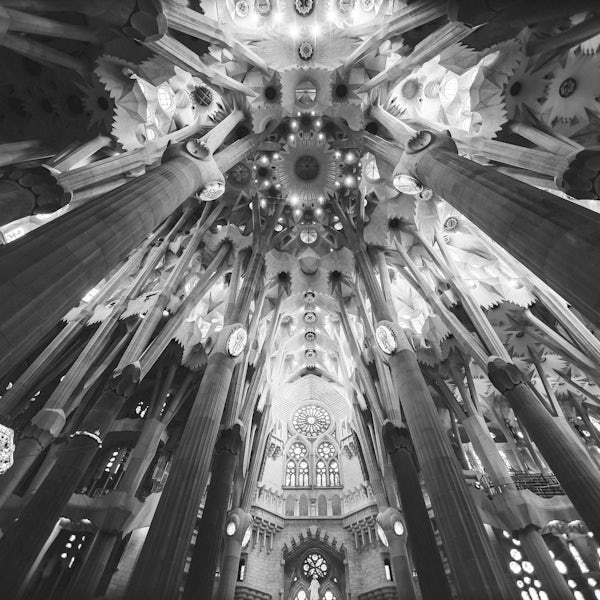 Efficiency of fractal branching columns with constant branching angle ...