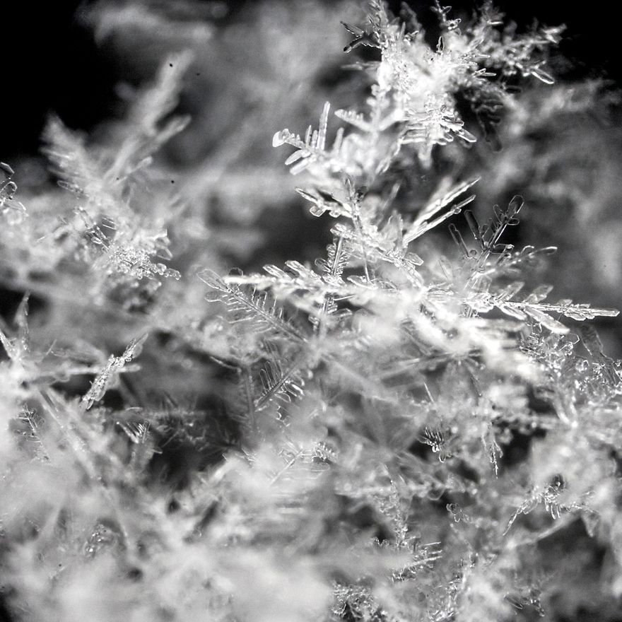 Cluster Algebras Network Science And Machine Learning Lims