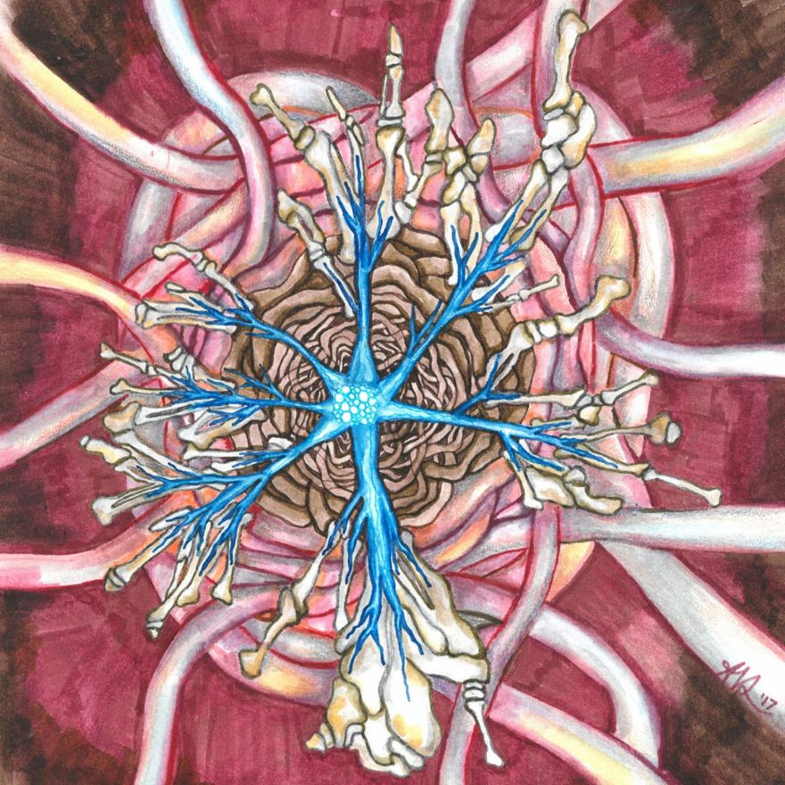 Emergence of strongly connected components in continuum disk-spin ...