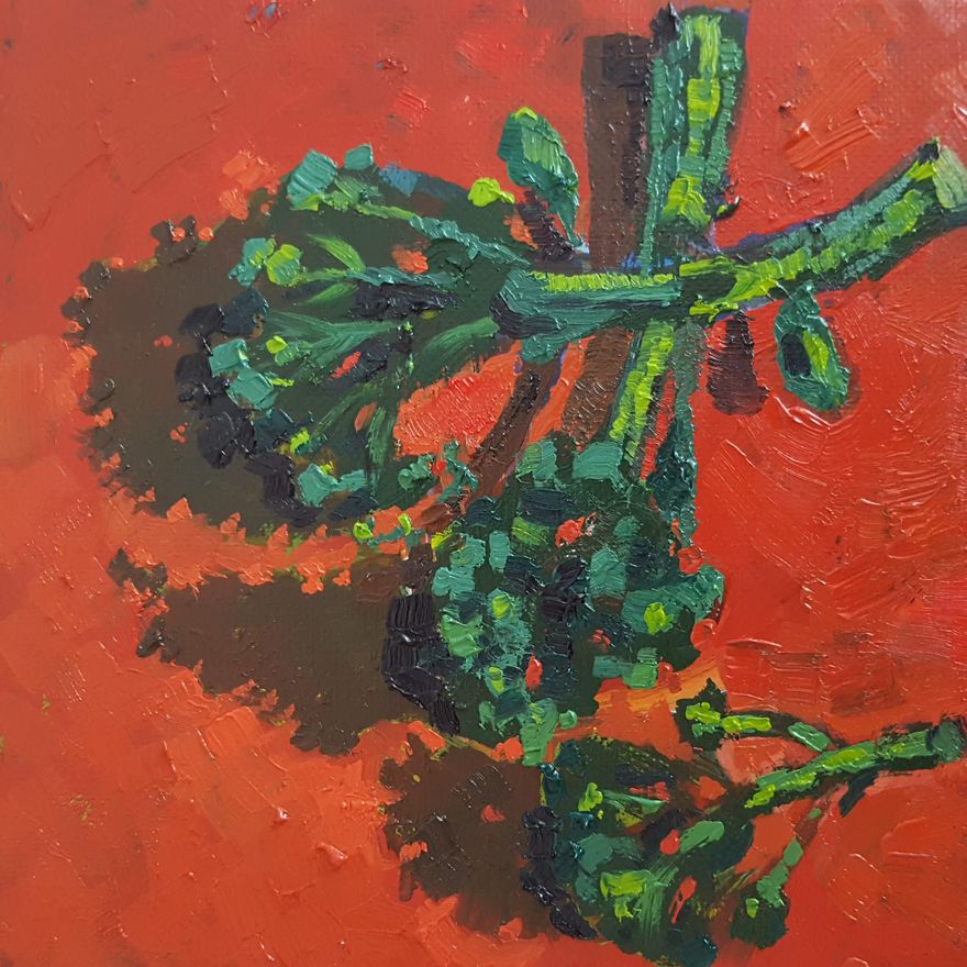 Shear elastic deformation and particle packing in plant cell ...